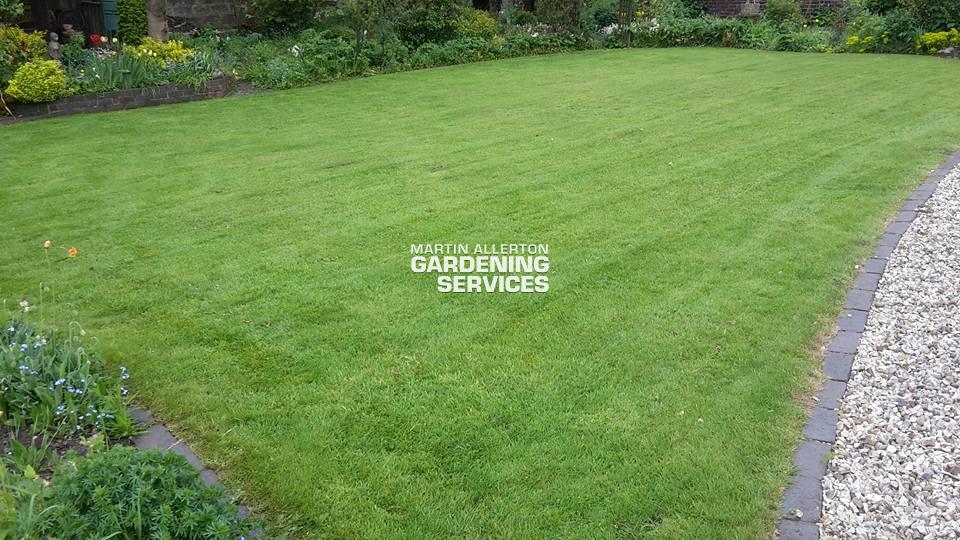 Scarifying a lawn in Stone | Tree and Garden Services by Martin Allerton