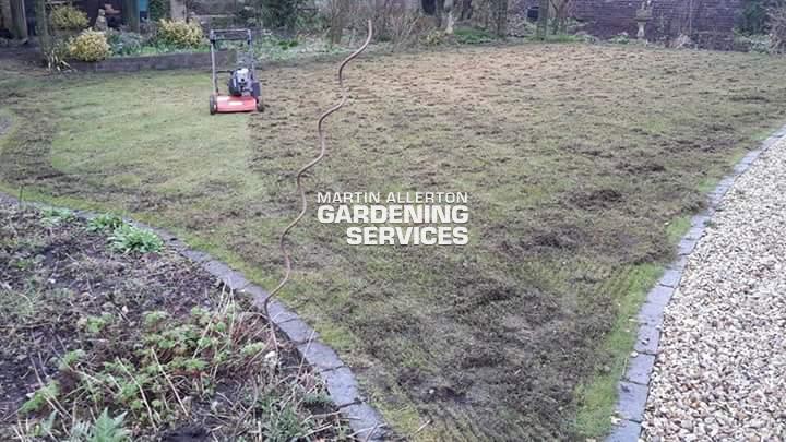 Scarifying a lawn in Stone | Tree and Garden Services by Martin Allerton