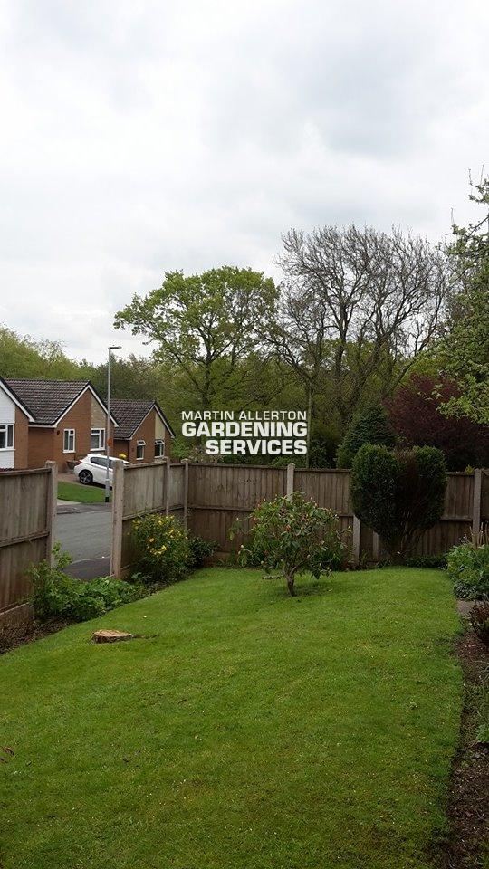 Removing rowan trees in Walton | Tree and Garden Services by Martin ...