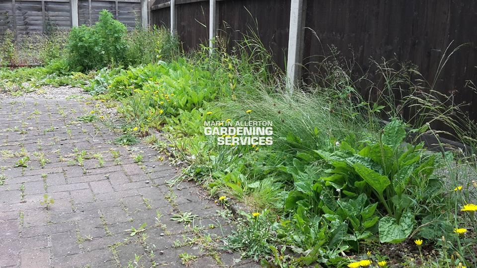Weeding | Tree and Garden Services by Martin Allerton